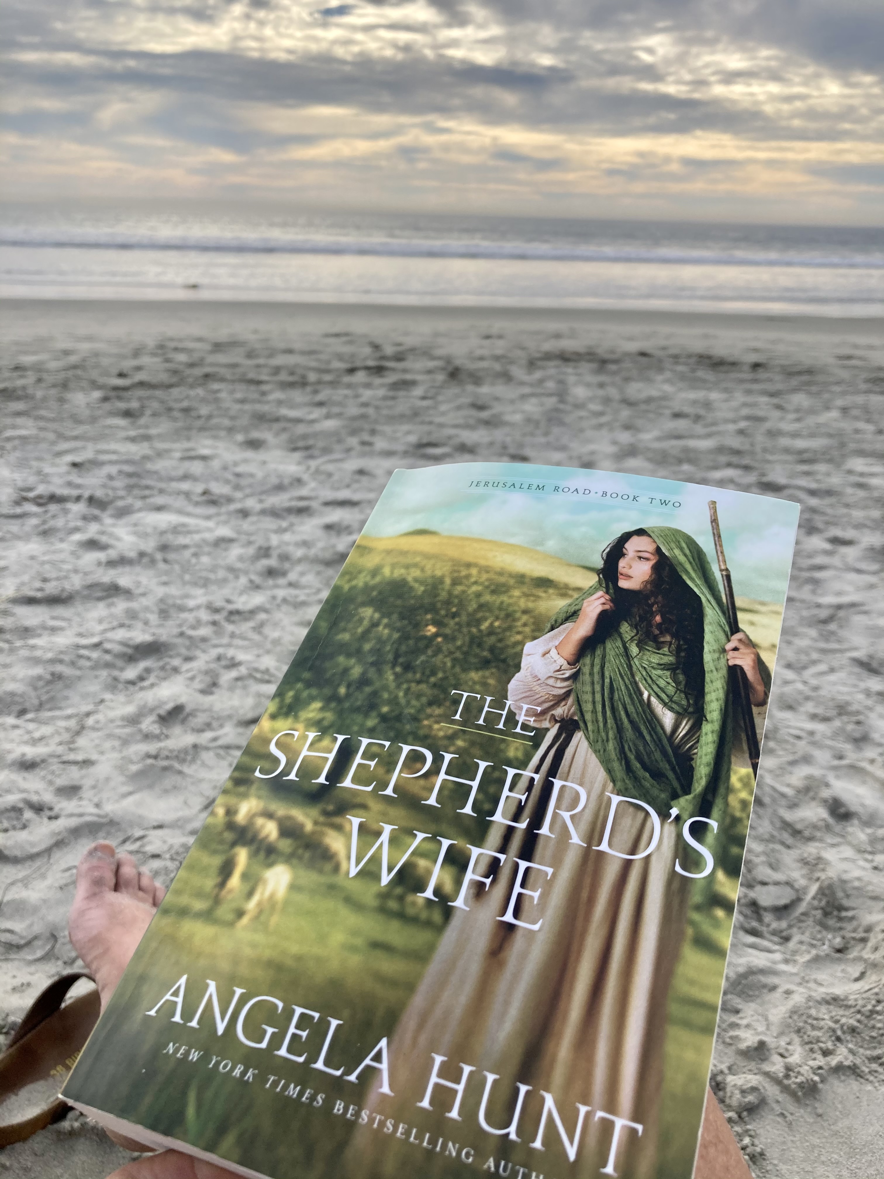 The Shepherd’s Wife (Book Review) – Soul Water