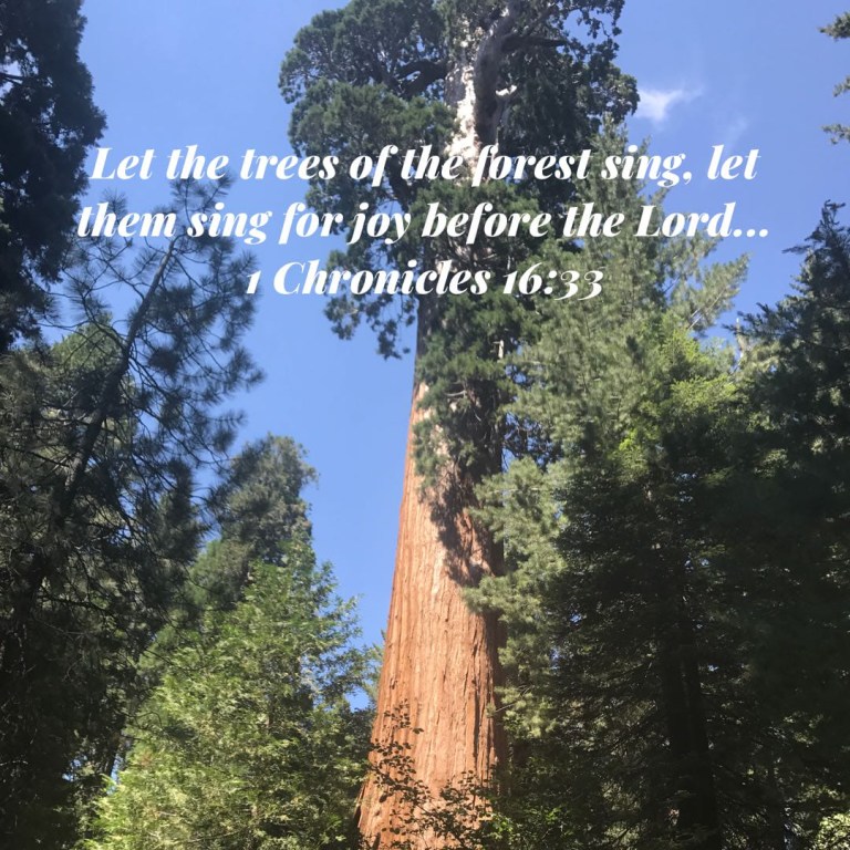 Splendor and Majesty ~ Knowing God Through His Magnificent Creation ...