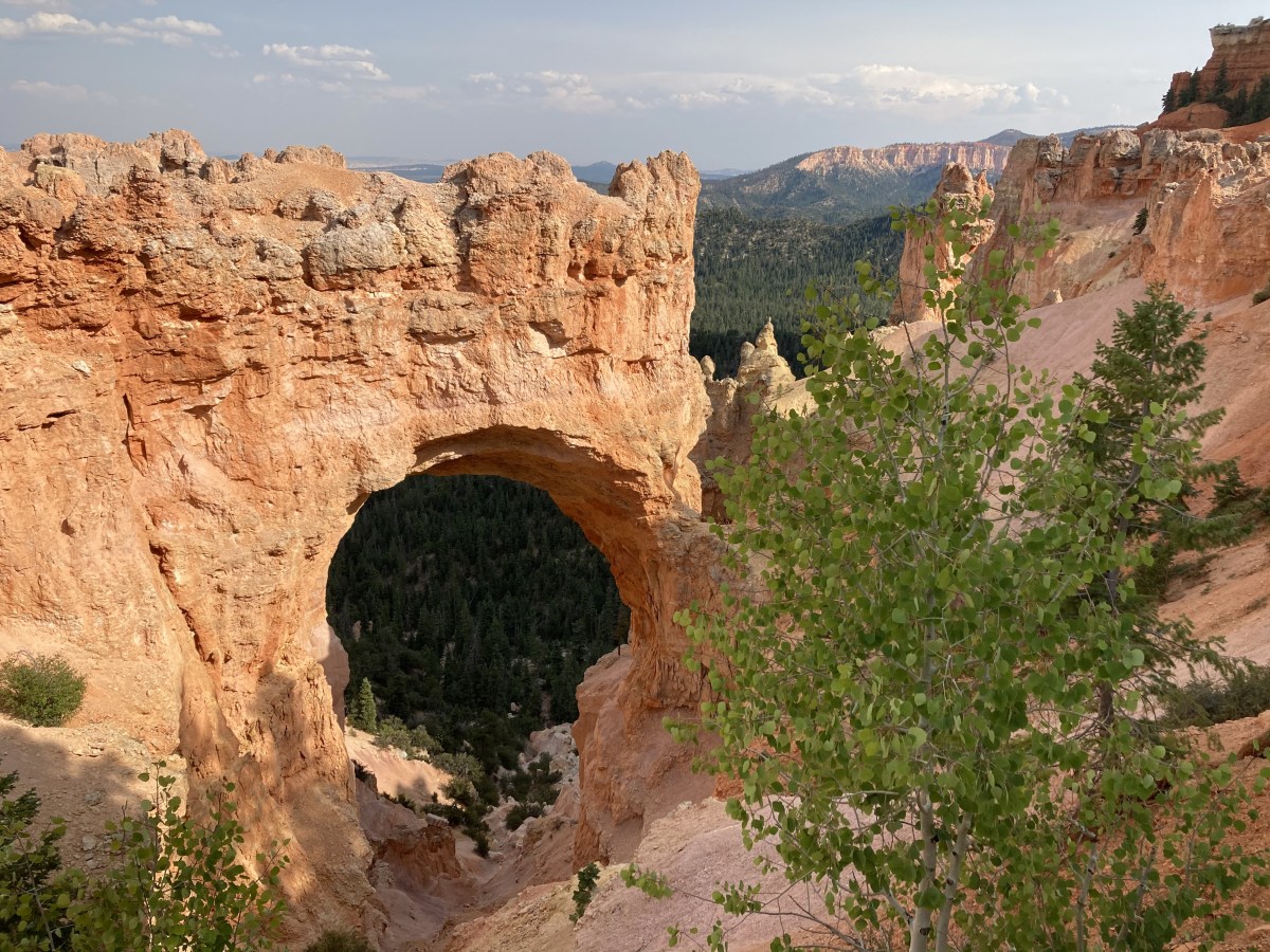 Splendor and Majesty – Be Still and Listen – Soul Water