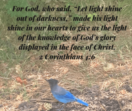 Splendor and Majesty ~ Light – Soul Water